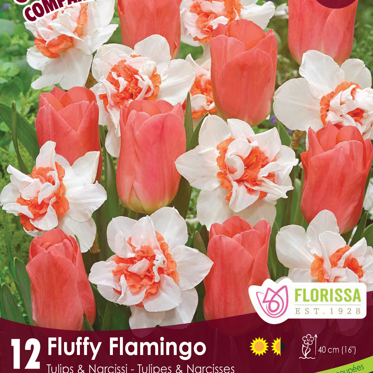 Fall Colourful Companions - Fluffy Flamingo Retail – Van Noort Bulb Co ...