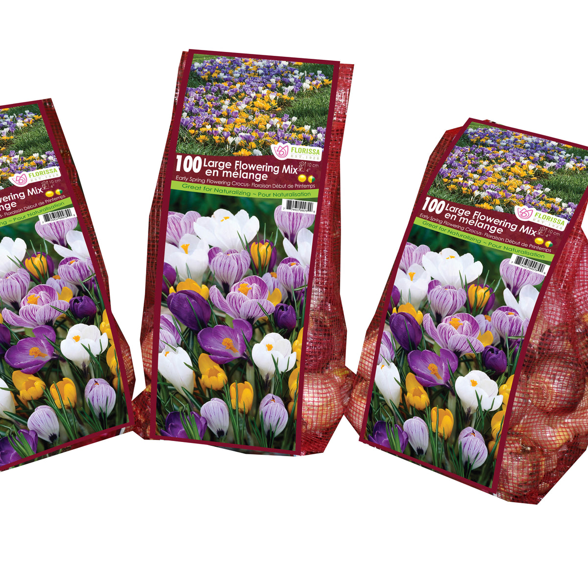 Crocus - Large Flowering Mix Mesh Bagged Bulbs – Van Noort Bulb Co. Ltd.